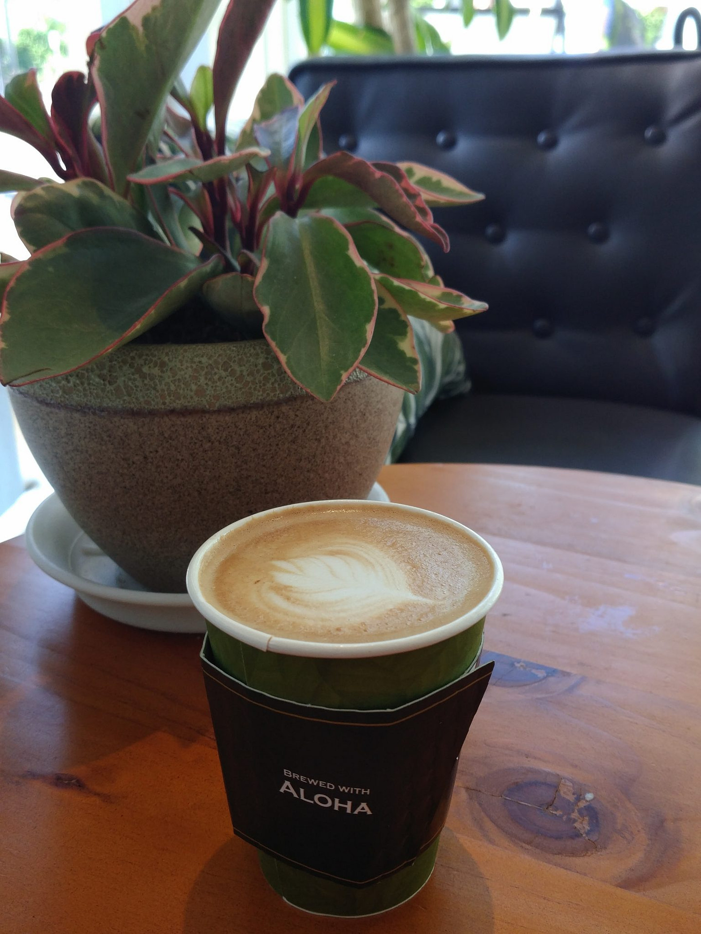 Coffee Review: Honolulu Latte at Honolulu Coffee – an Ephemeral Memoir ...